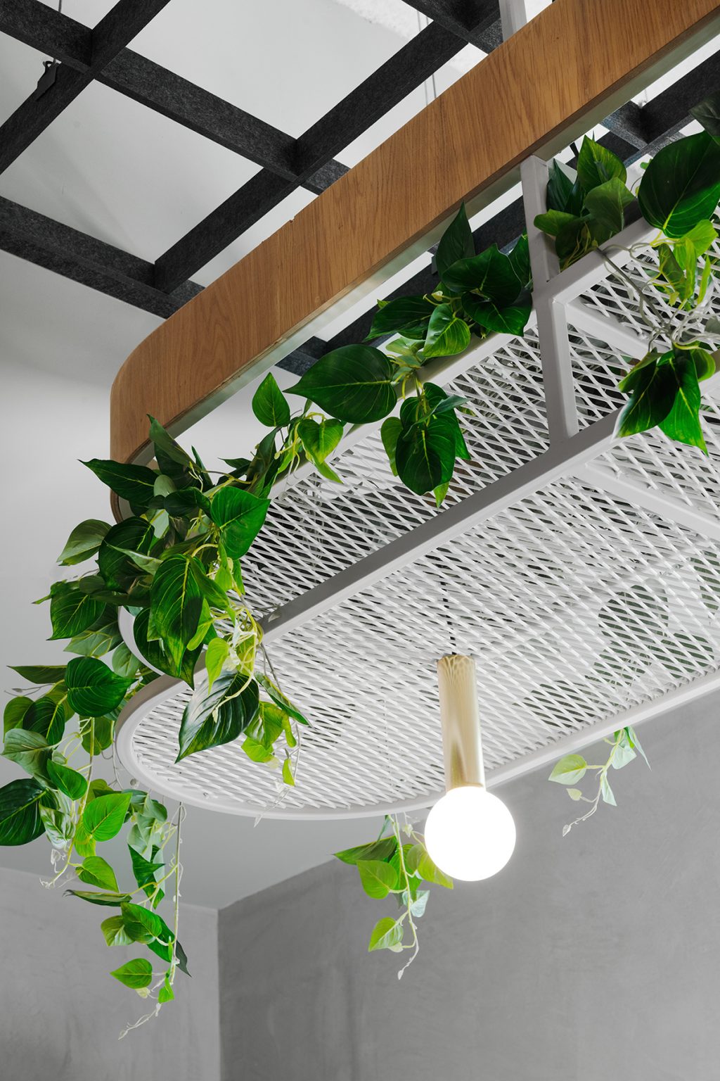 Black Rabbit - EN Design Studio